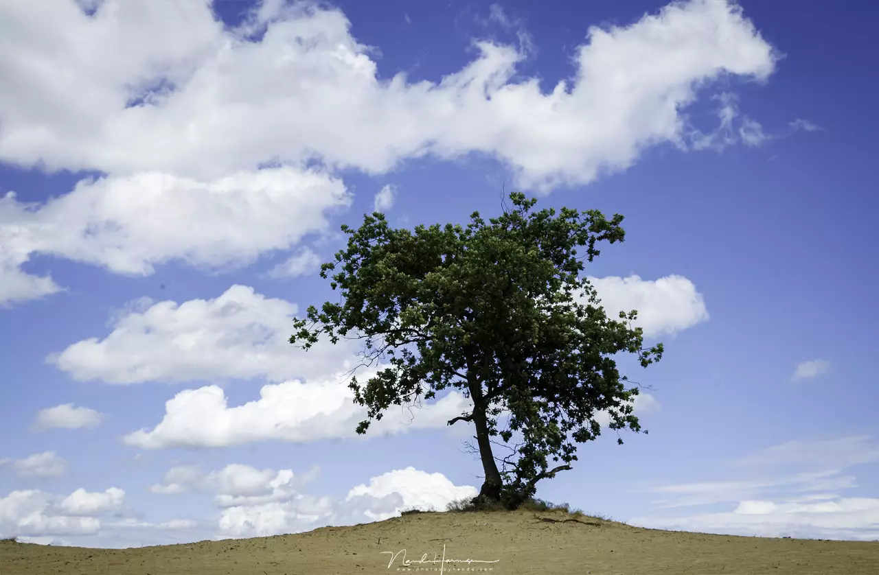 Seja sempre paciente com paisagens: espere o momento certo 80731_6