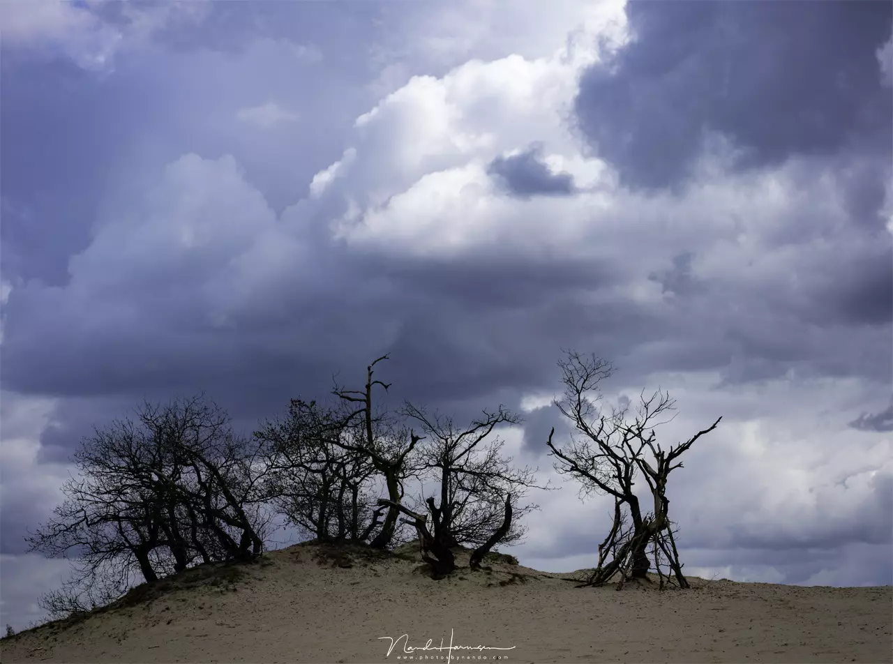 Soyez toujours patient avec les paysages : attendez le bon moment 80731_8