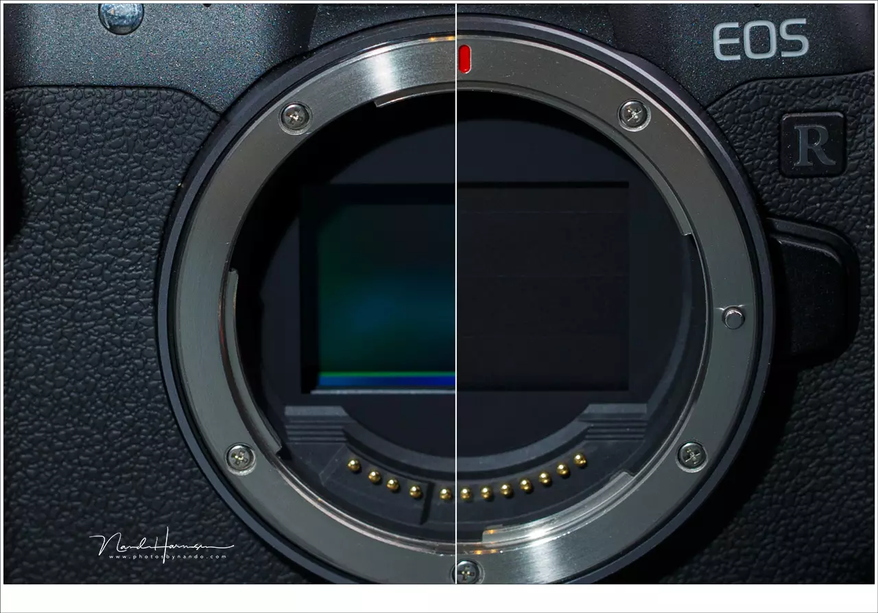 Syv ting, der er gode at vide, når dit kamera har en elektronisk søger 920_6