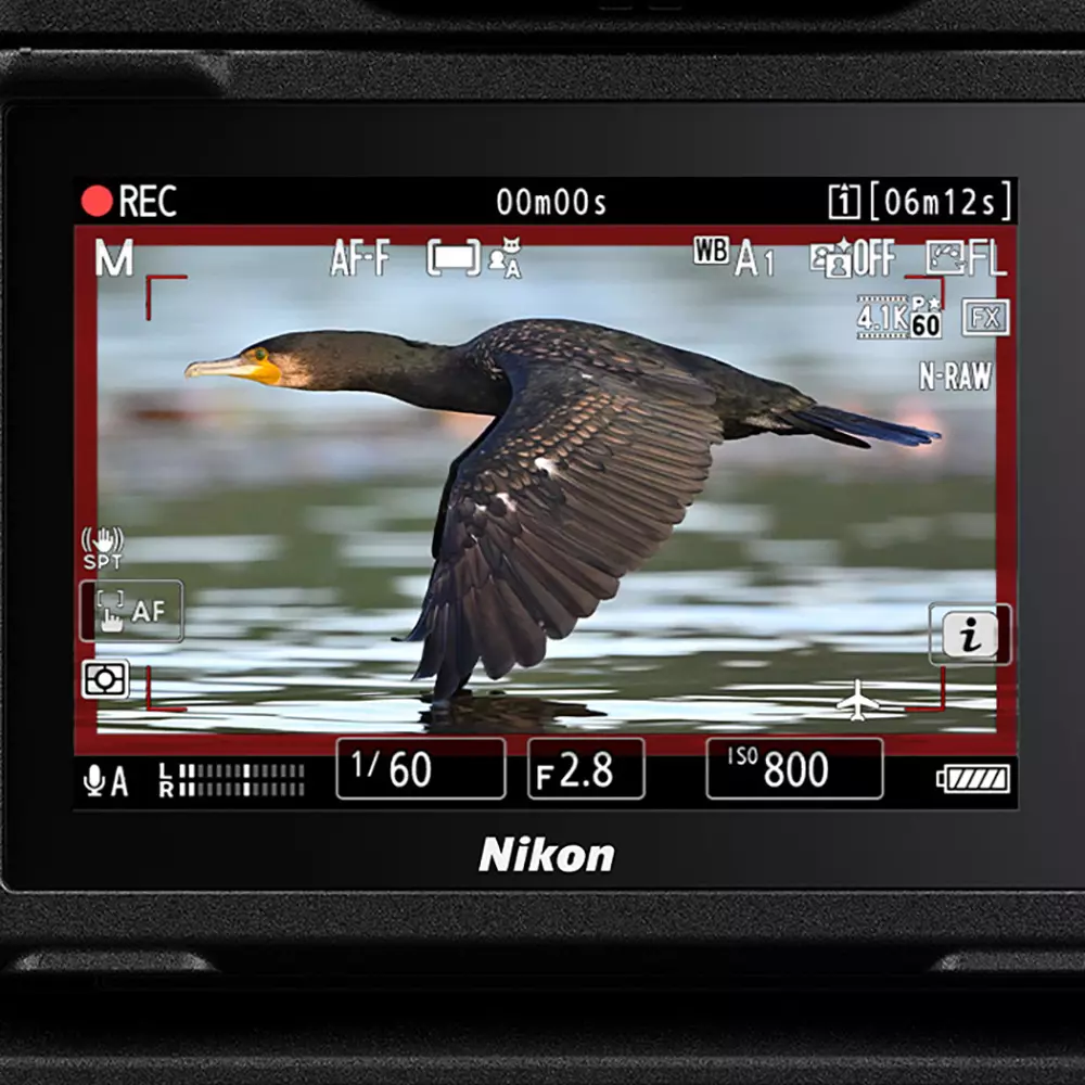 Nikon Z 9-k nola eraldatu duen Ispilurik gabeko kamerak ikusten ditudan modua 923_7
